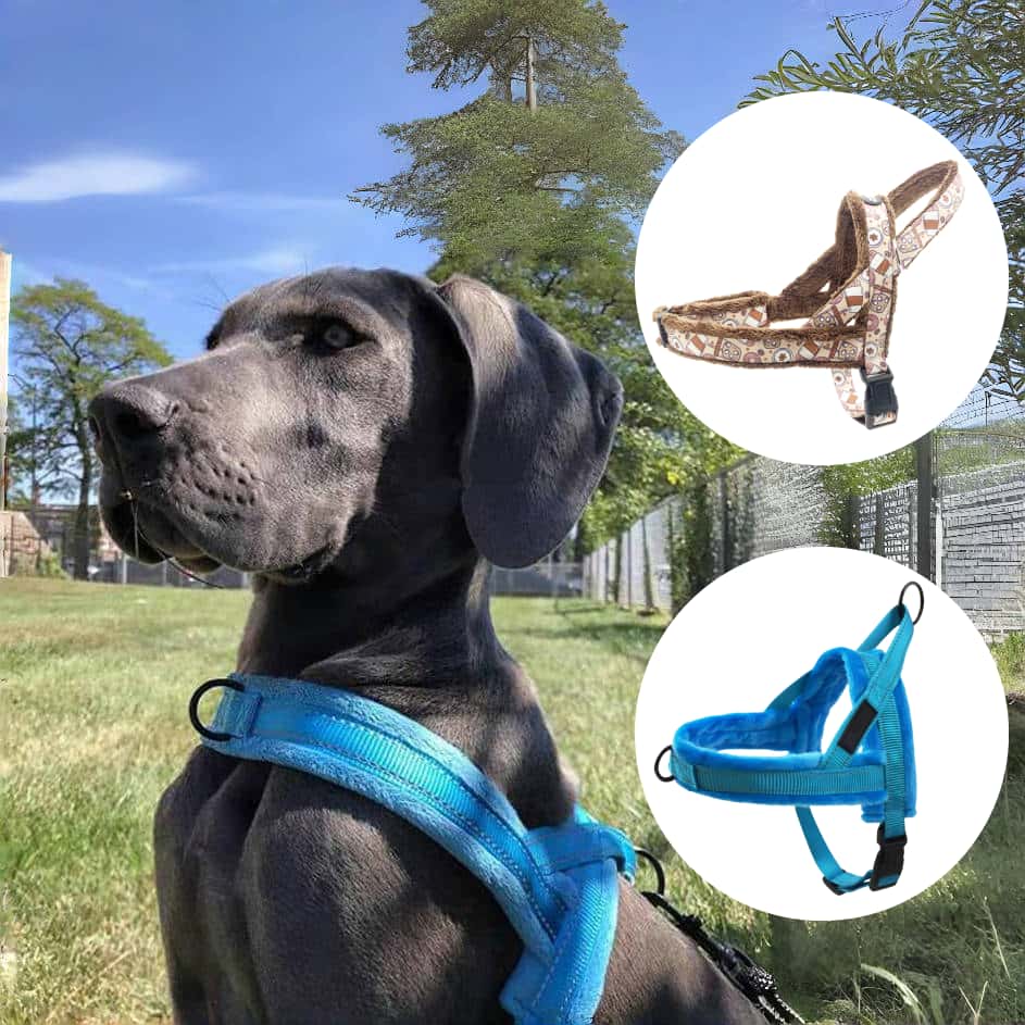 Dog Harness Manufacturer | Custom & Eco-Friendly Options - Bestone