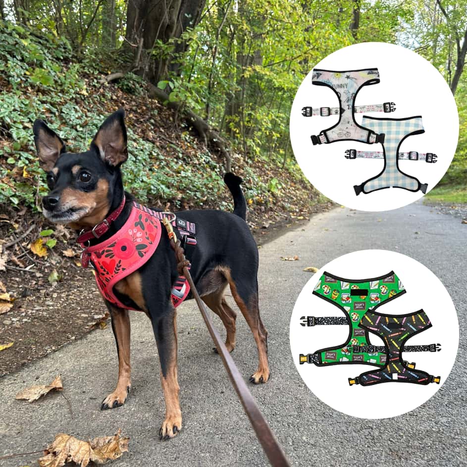 Dog Harness Manufacturer | Custom & Eco-Friendly Options - Bestone